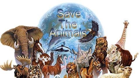 Petition · "Save animals" · Change.org