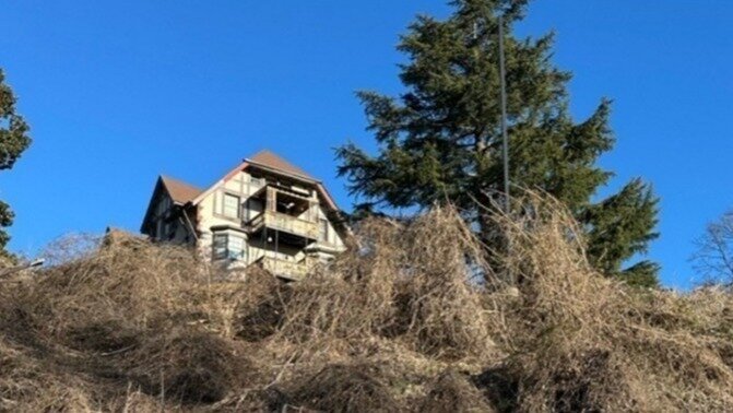 Petition · Neighborhood Petition to Address Invasive Overgrowth at ...