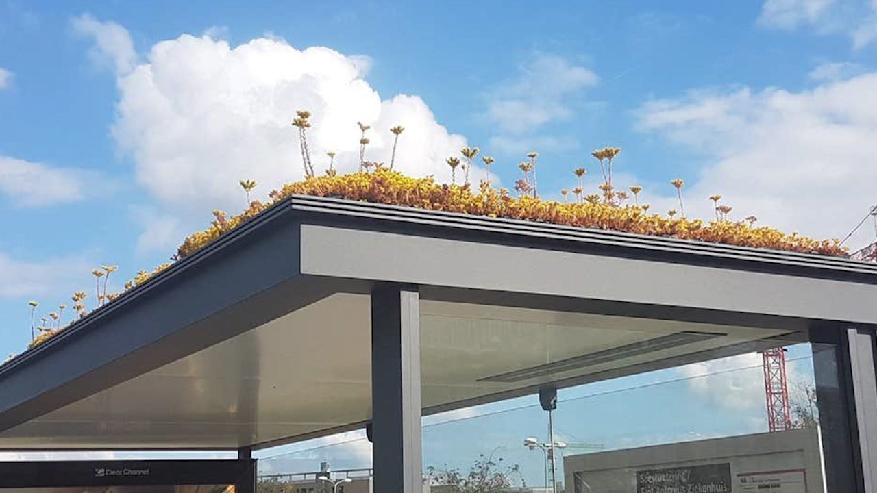Petition · Introduce environmentally-friendly green roofs on all London ...