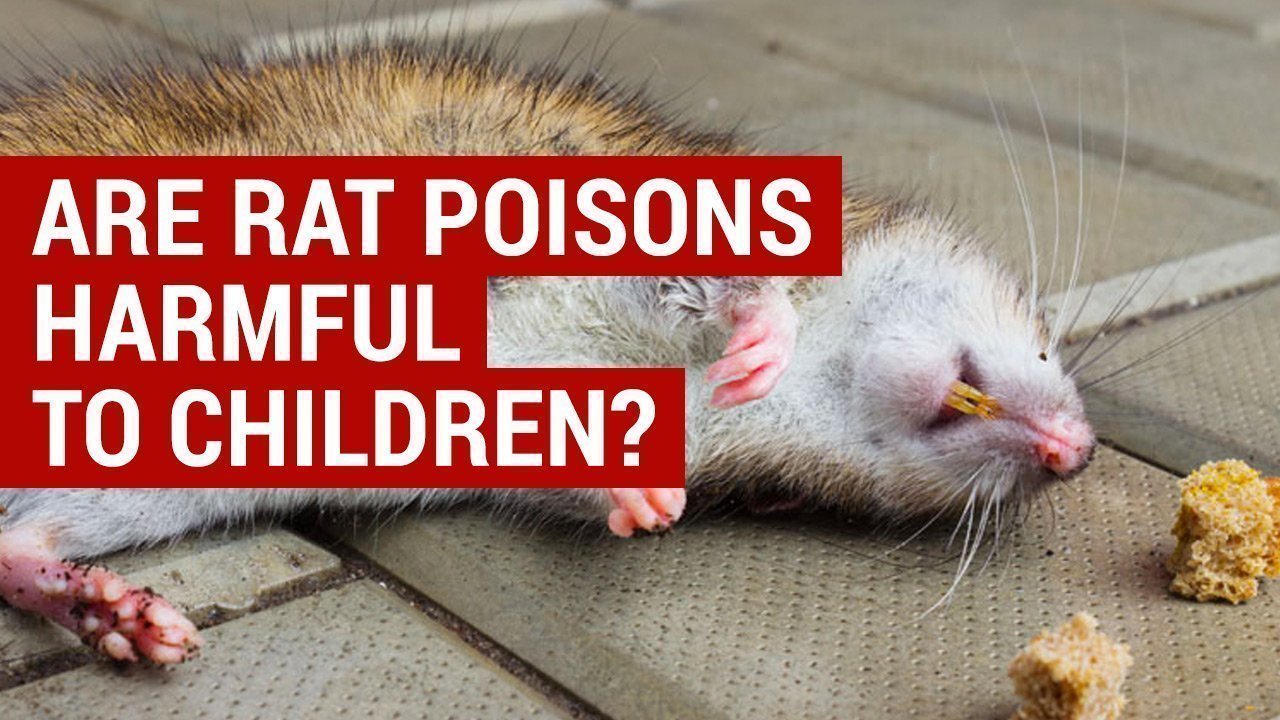 Petition · CLOSE AND CLEAN SHERWOOD FOREST ELEMENTARY protect our ...