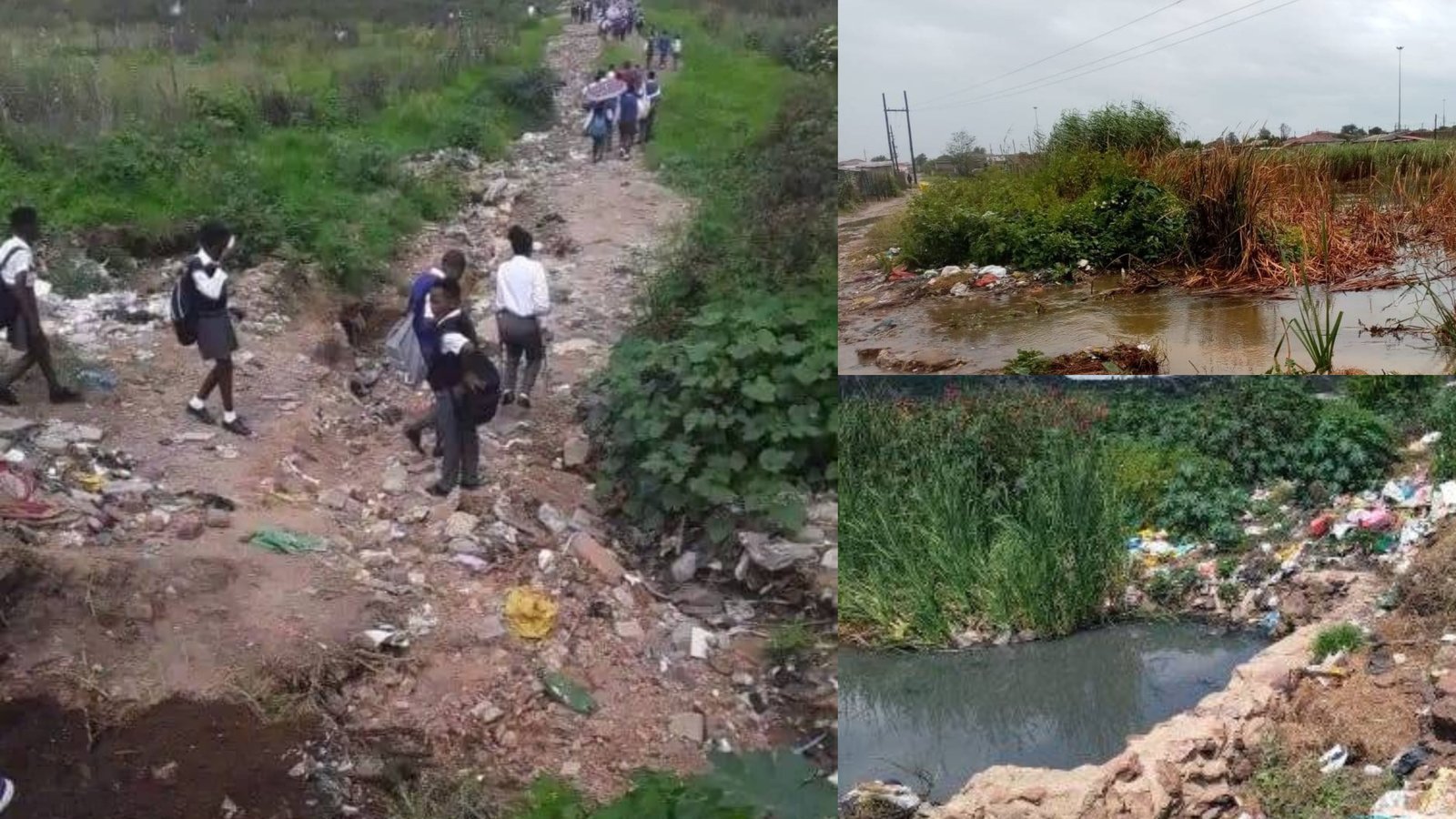 Petition · Please Build Us A Bridge & Save Our Children - South Africa ...