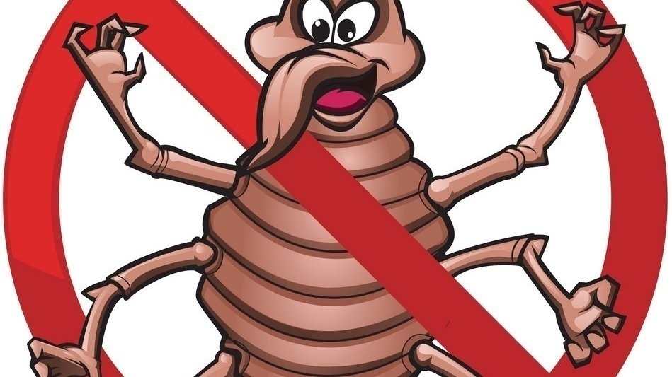 Petition · Kill all bug cause there scary - United States · Change.org