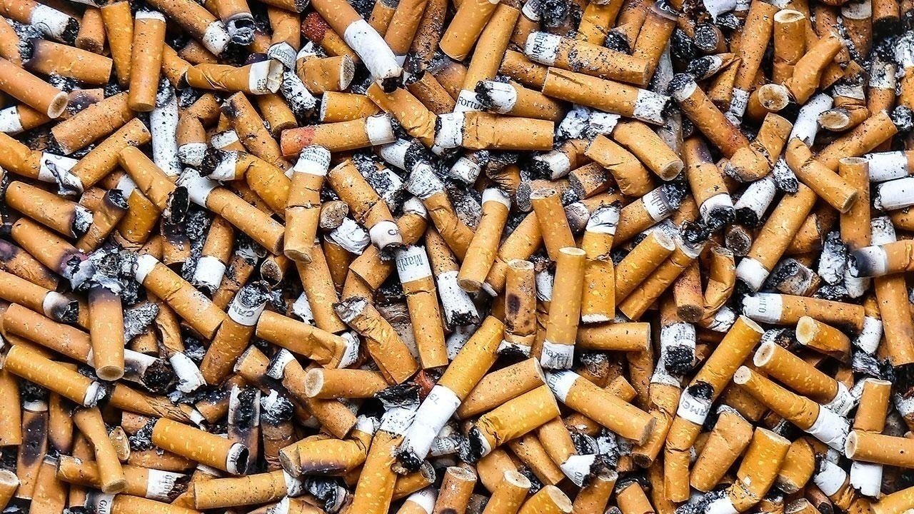 Petition · Reduce the Amount of Cigarette Butts in South San Francisco ...