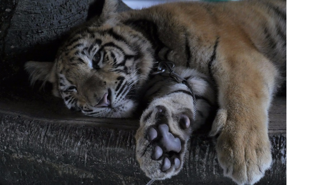 Petition update · Vision and Strategy to forge ahead · Change.org ...