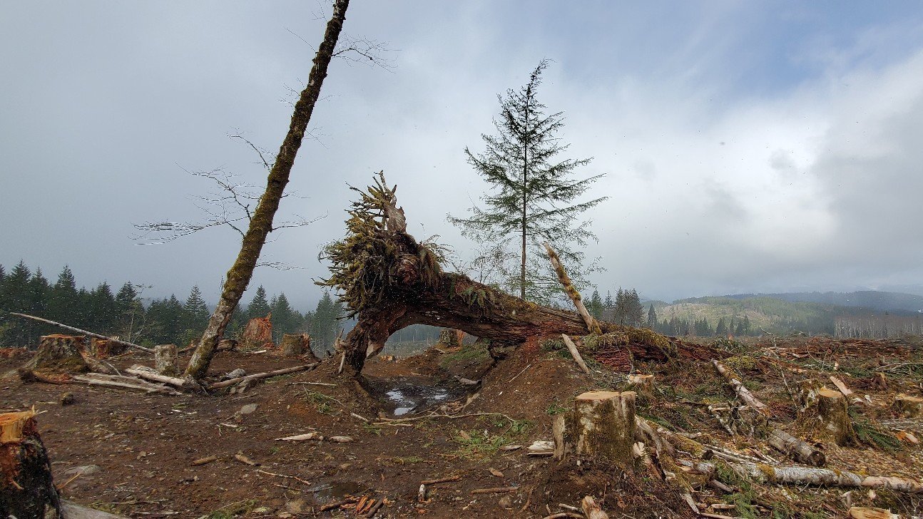 Petition · Demand an end to clear cut logging of Oregon OHV and ...