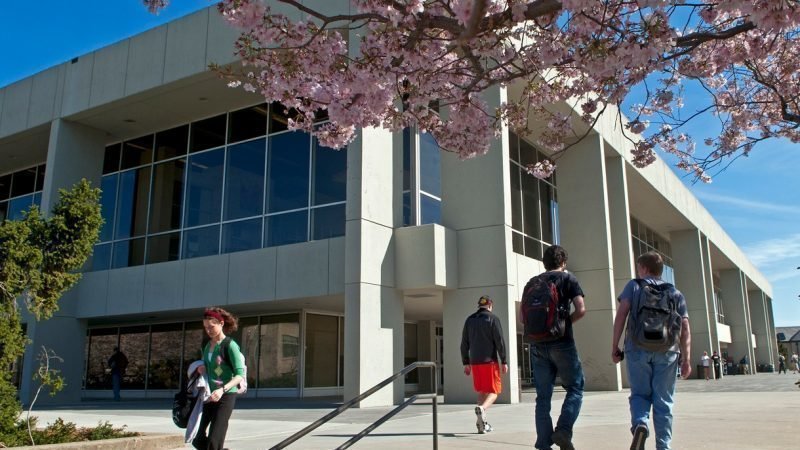 Petition · Have Virginia Tech release the D2 Playlist - United States ...