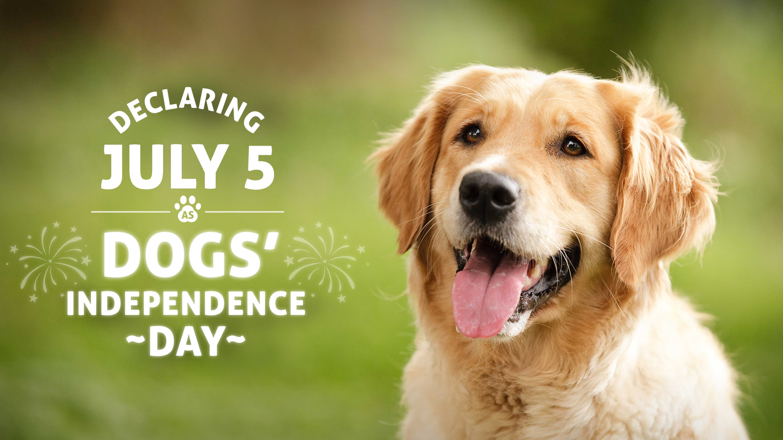 Petition · Declaring July 5th as the Dogs Independence Day. - United ...
