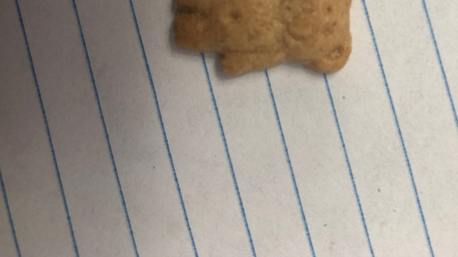 Petition · Are Sad Teddy Gram Bears Actually Sad? - United States ...