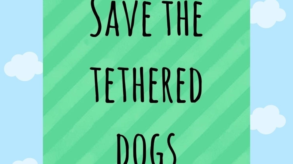 Petition · Save the Tethered dogs. Break the tether for the dogs tied ...