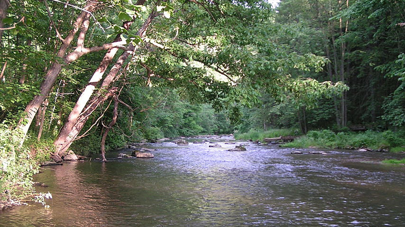 Petition · UAJA SHOULD CHARGE CUSTOMERS BASED ON WATER USAGE - United ...