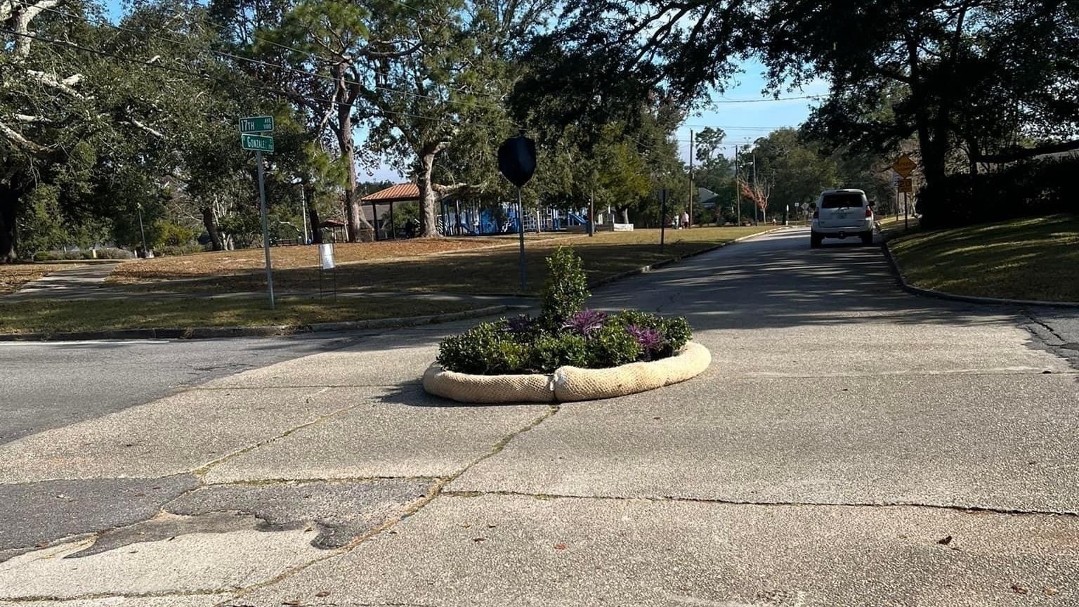 Petition · Mini roundabout gardens in da hill - United States · Change.org