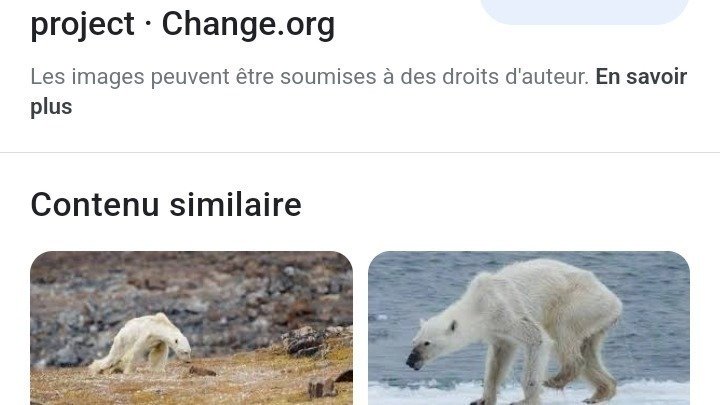 Petition · Stop the willow project - France · Change.org