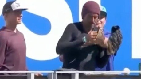 Petition · Mark Kirsch needs consequences, stealing baseball from kid ...