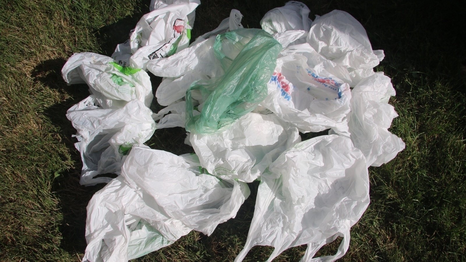 Petition · Ban Single-Use Plastic Bags in Parksville - Canada · Change.org