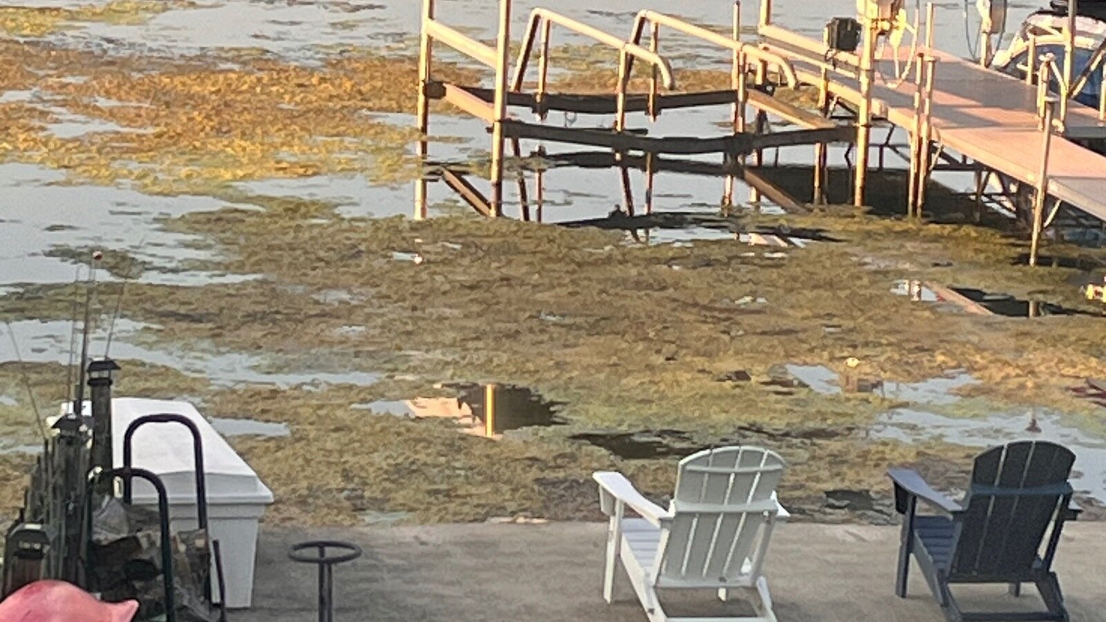 Petition · Repeal NY DEC Wetland Designation for Chautauqua Lake ...