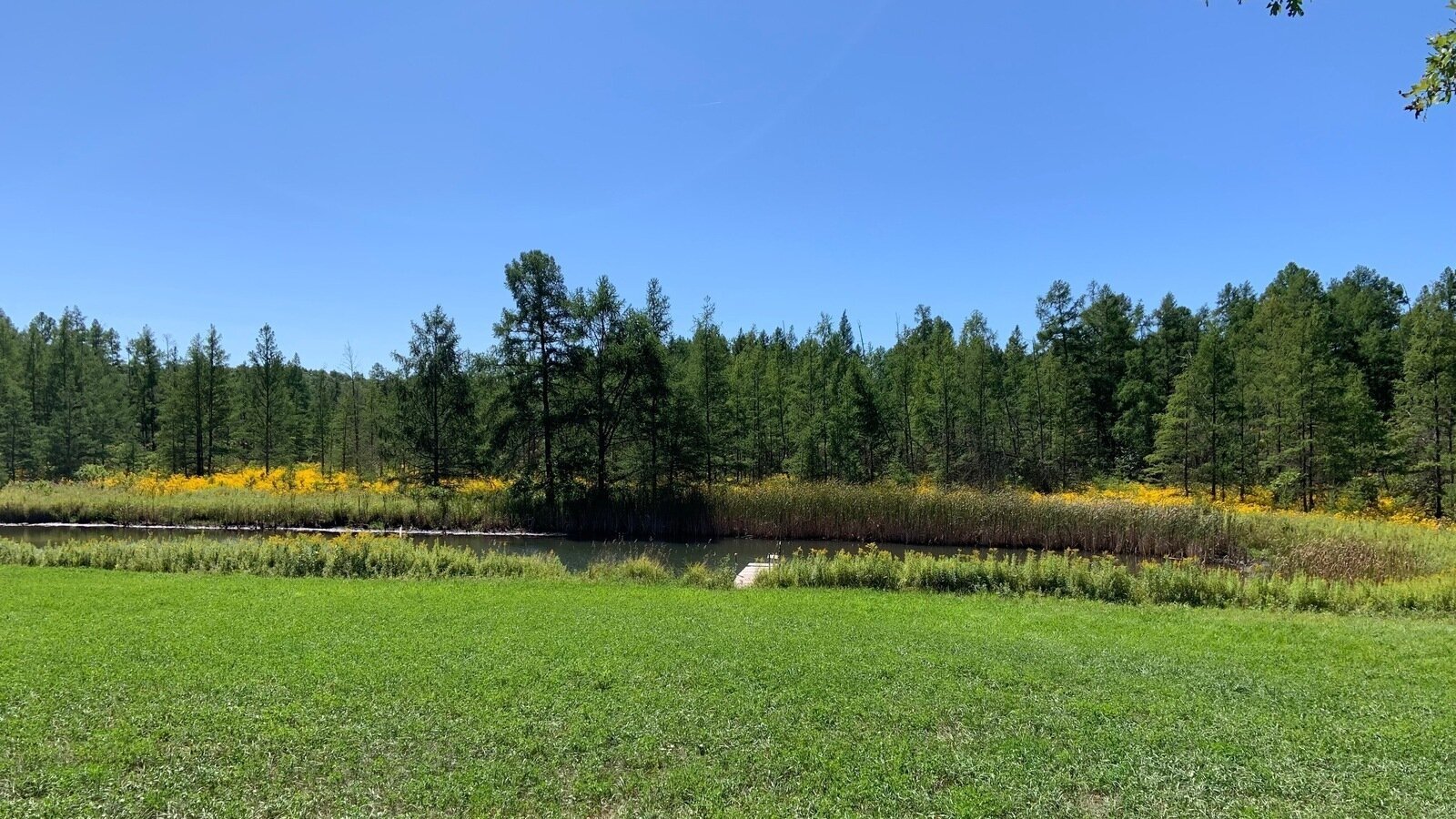 Petition · Petition To Prevent ATC’s Grid Forward Central Wisconsin ...