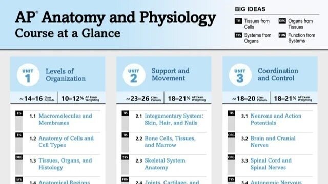 Petition · Implement AP Anatomy & Physiology at Viera High School for ...
