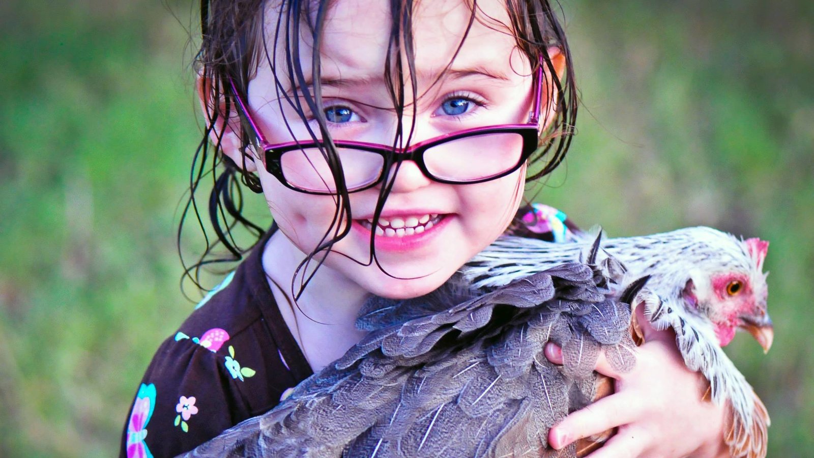 Petition · Change Chicken Ordinance Laws - Cedar Park, Texas - United ...