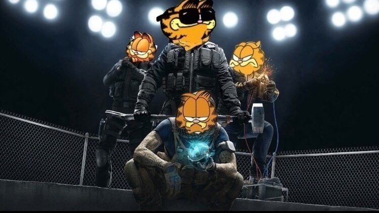 Petition · Make Garfield a charm in R6 Siege - United States · Change.org