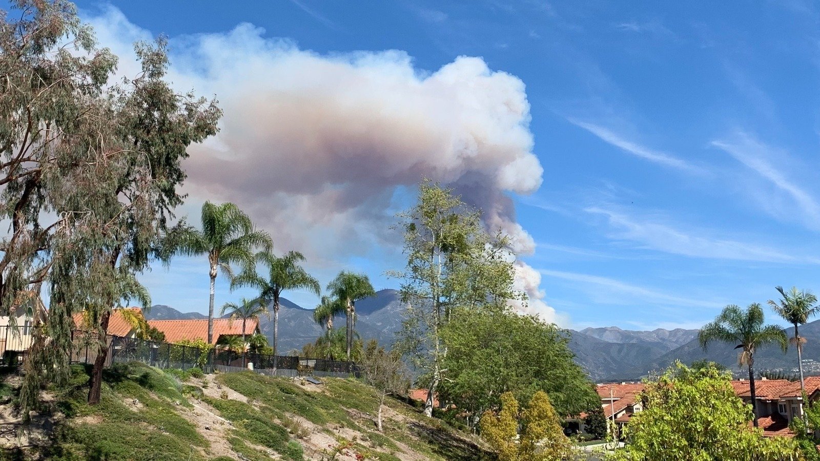 Petition · Remove USFS Trabuco District Ranger Darrel Vance - United ...