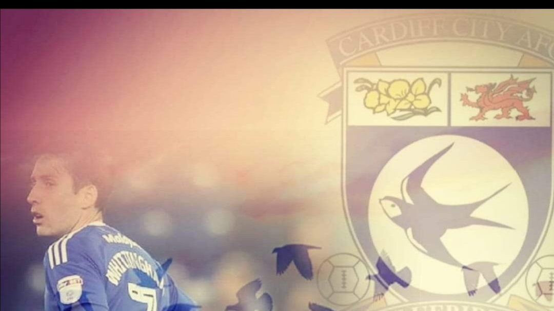 Petition · CCFC to retire the #7 in love and memory of Peter ...