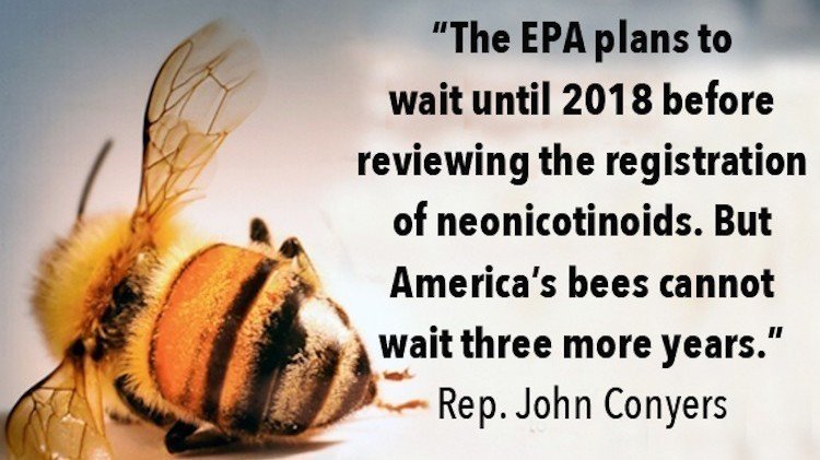Petition · Ban Neonicotinoids, Save Honeybees and Humans - United ...