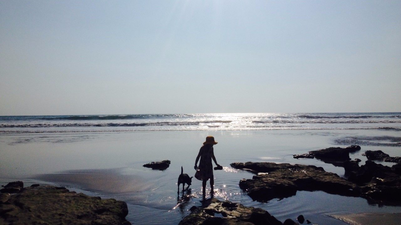 Petition Decisive And Comprehensive Climate Action Now Canada