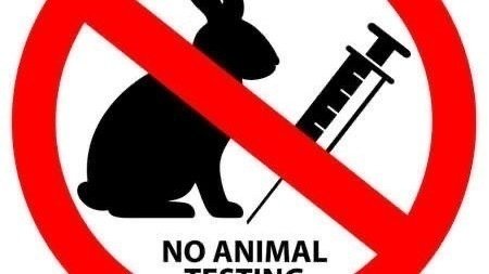 Petition · STOP ANIMAL TESTING! - United States · Change.org