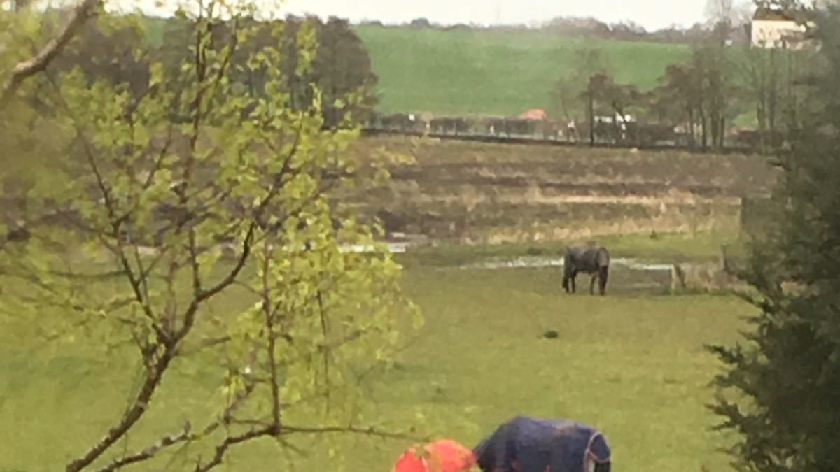 Petition · Protect the Green Belt, Agriculture and Wildlife in Rainford ...