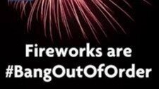 Petition · Implement Strict Regulations on Fireworks Usage - United ...