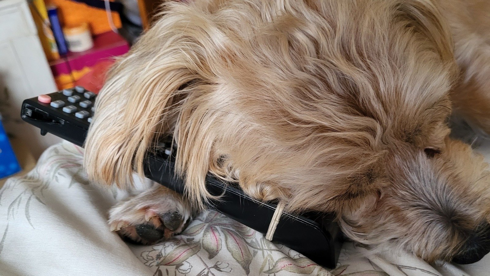 Petition · Save our mobile vets !! - United Kingdom · Change.org