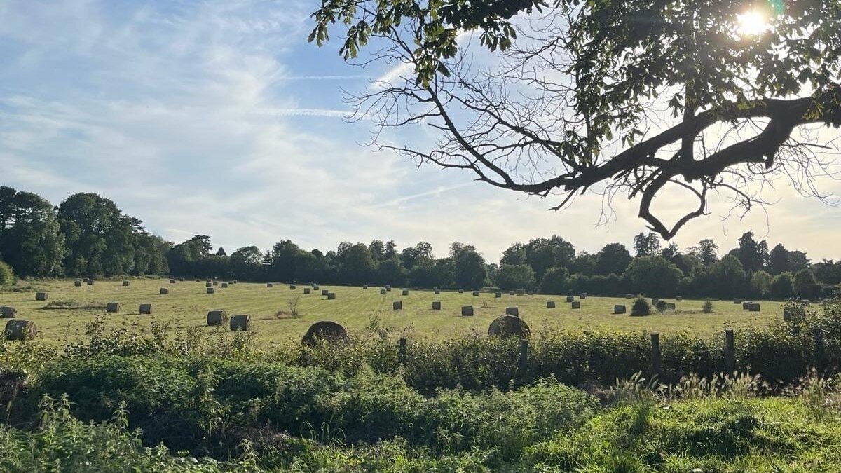 Petition · Preserve the Natural Beauty of Meadow Hill fields - United ...