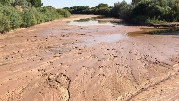 Petition · Save the Rio Grande Ecosystem - India · Change.org