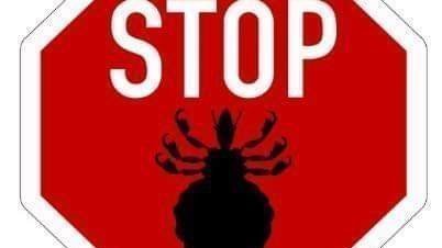 Petition · Get the nit nurse back in the uk · Change.org