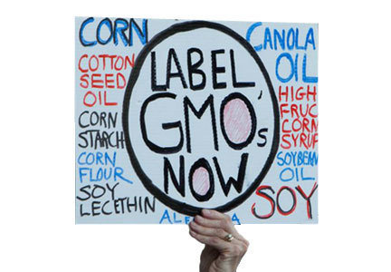 Petition · Support Transparent Food Labeling - United States · Change.org