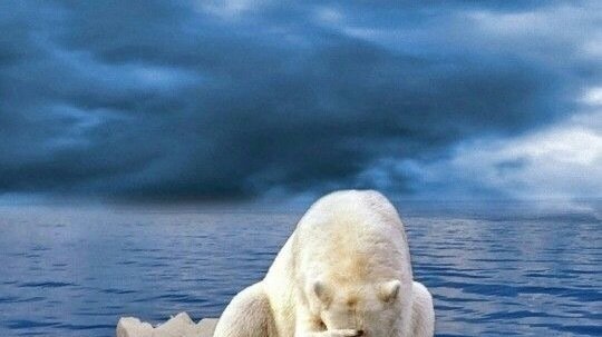 Petition · STOP THE WILLOW PROJECT - United States · Change.org