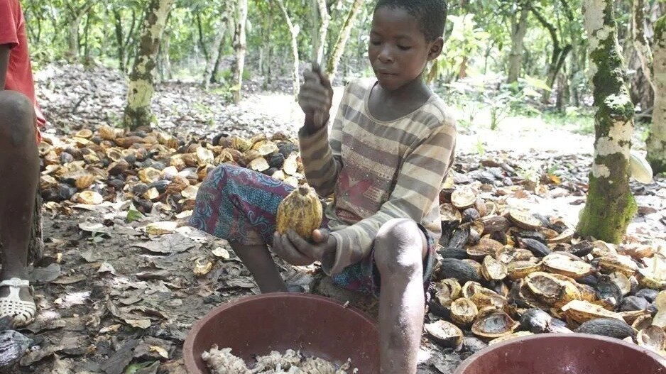 Petition · Child Labour in the Chocolate Industry - Canada · Change.org