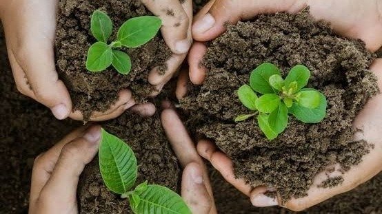 Petition · ₱1 Peso for a Change: Tree Planting Project in Tagaytay City ...