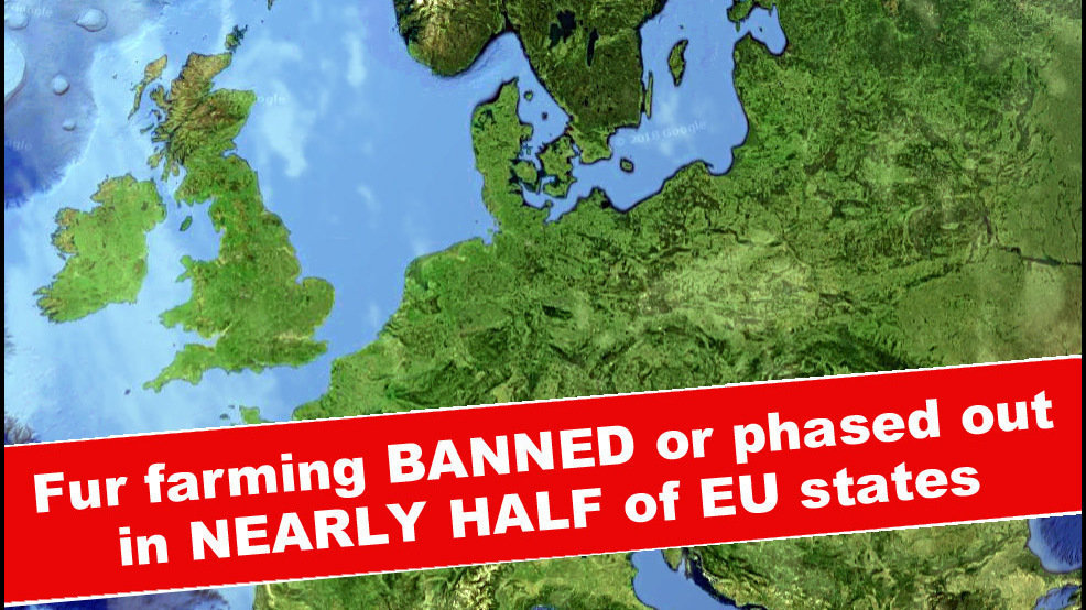 Petition update · Fur farming banned or phased out in nearly half of EU ...