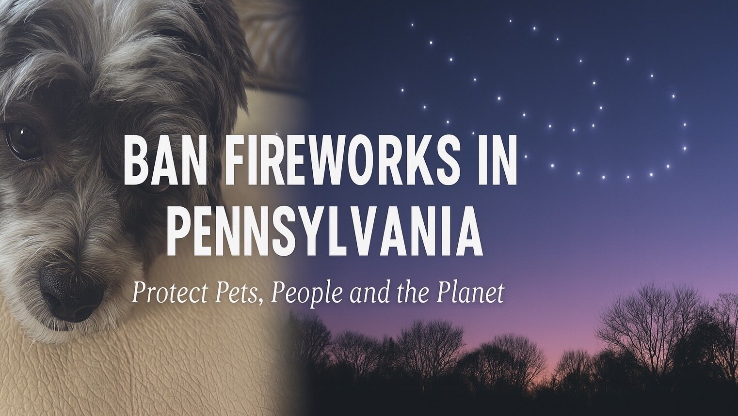 Petition · Ban Fireworks in Pennsylvania and Replace Them with Safe ...