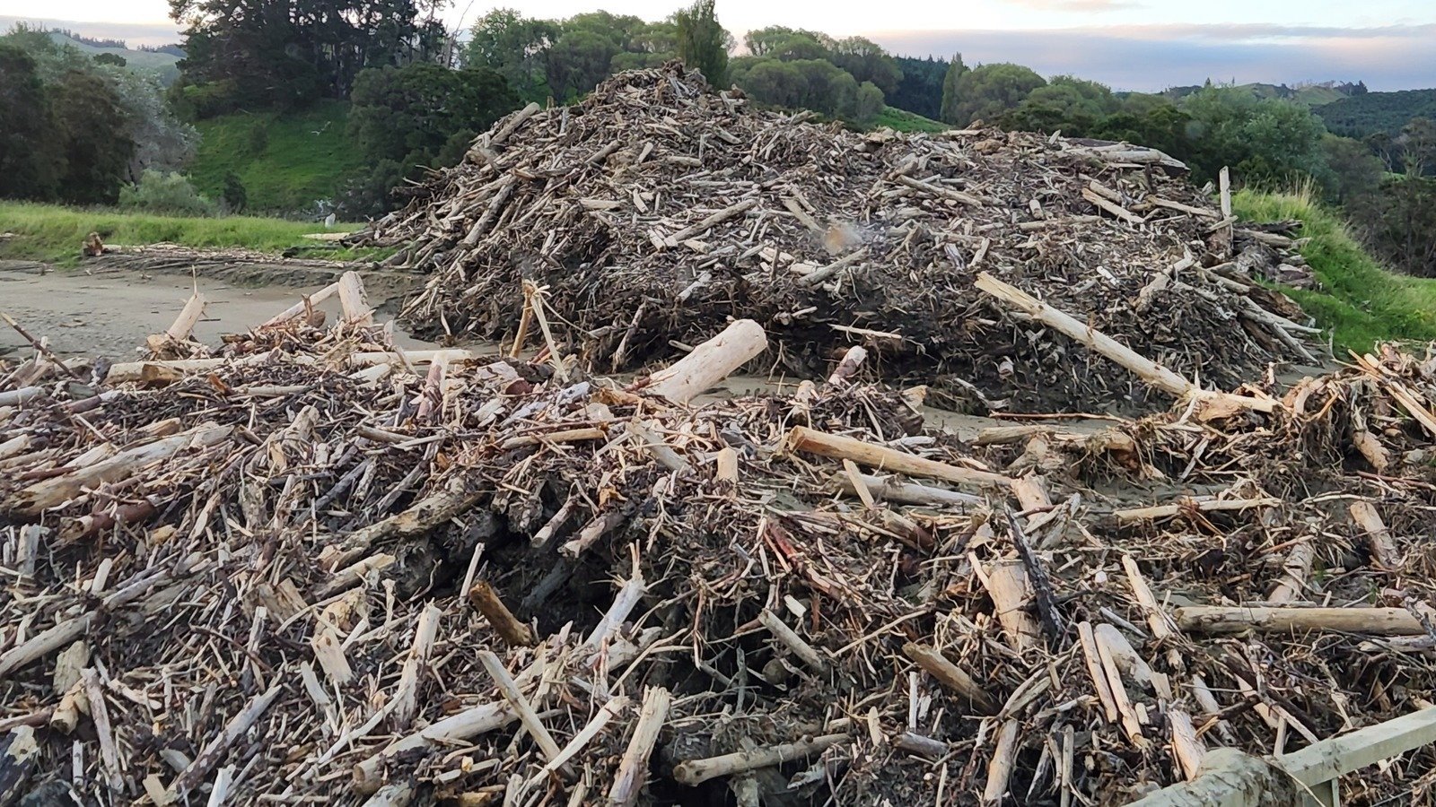 Petition · Forestry waste - New Zealand · Change.org