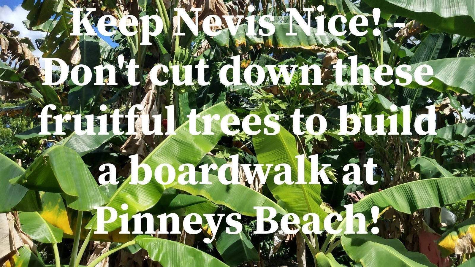 Petition · Keep Nevis Nice - Don't destroy fruitful nature at Pinneys ...