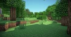 Petition · Everglades k-8 center Graduation in Minecraft Bedrock ...