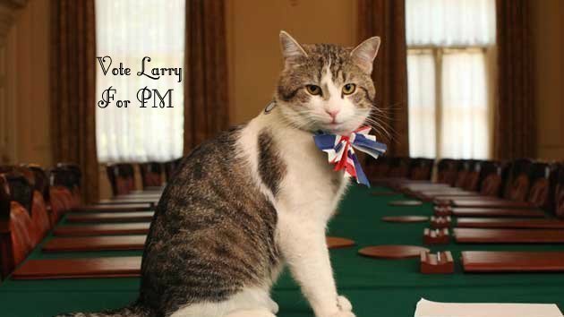 Petition · Larry The Cat For Prime Minister - United Kingdom · Change.org
