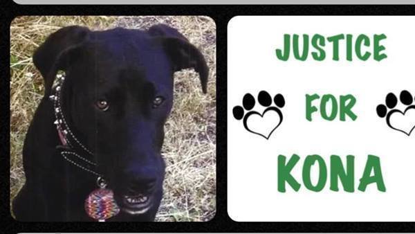 Petition update · Join "Justice for Kona" on Facebook · Change.org ...