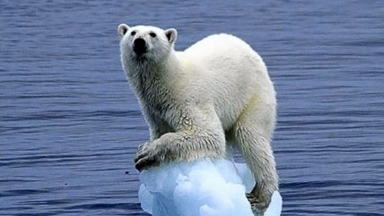 Petition · Stop the Willow Project - United States · Change.org