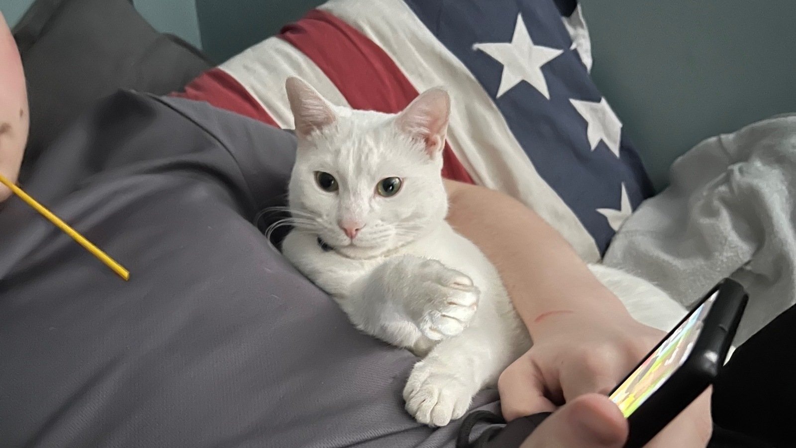 Petition Stop Landlords From Saying NO To Pets In Rentals Petition Stop Landlords From Saying NO To Pets In Rentals