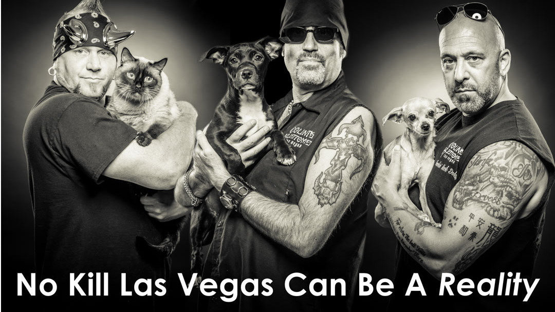 Petition · Award a $41 million dollar contract to NKLV (No Kill Las ...