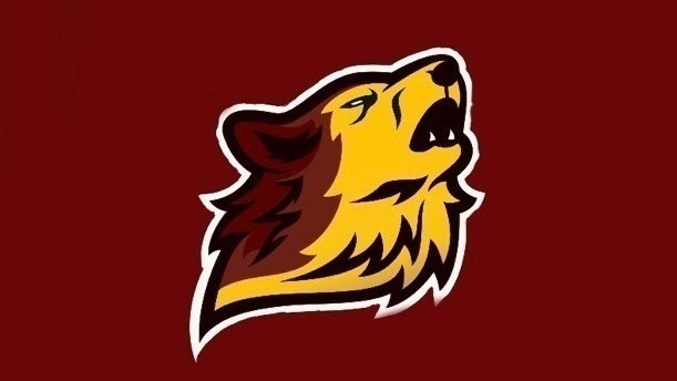 Petition · Show Your Support For Washington Redwolves - United States ...