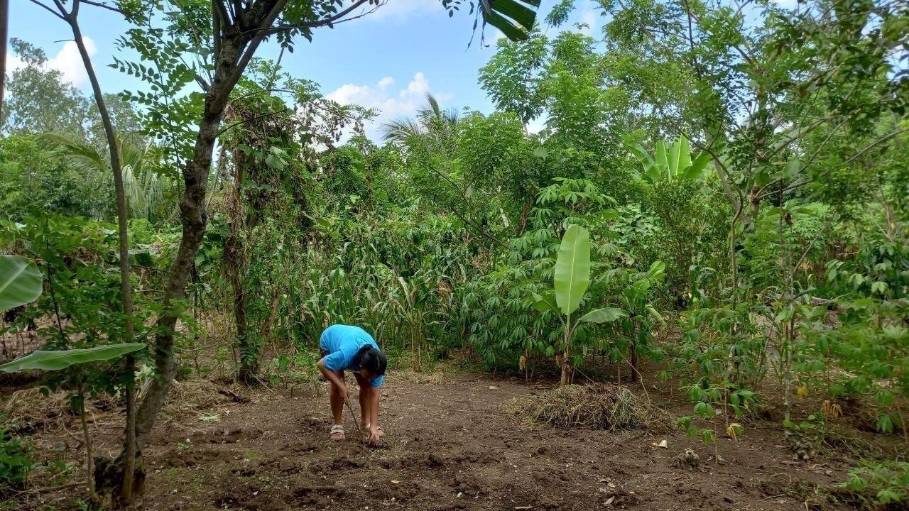 Petition · Grow your own fruits and vegetable, be healthier. Do ...